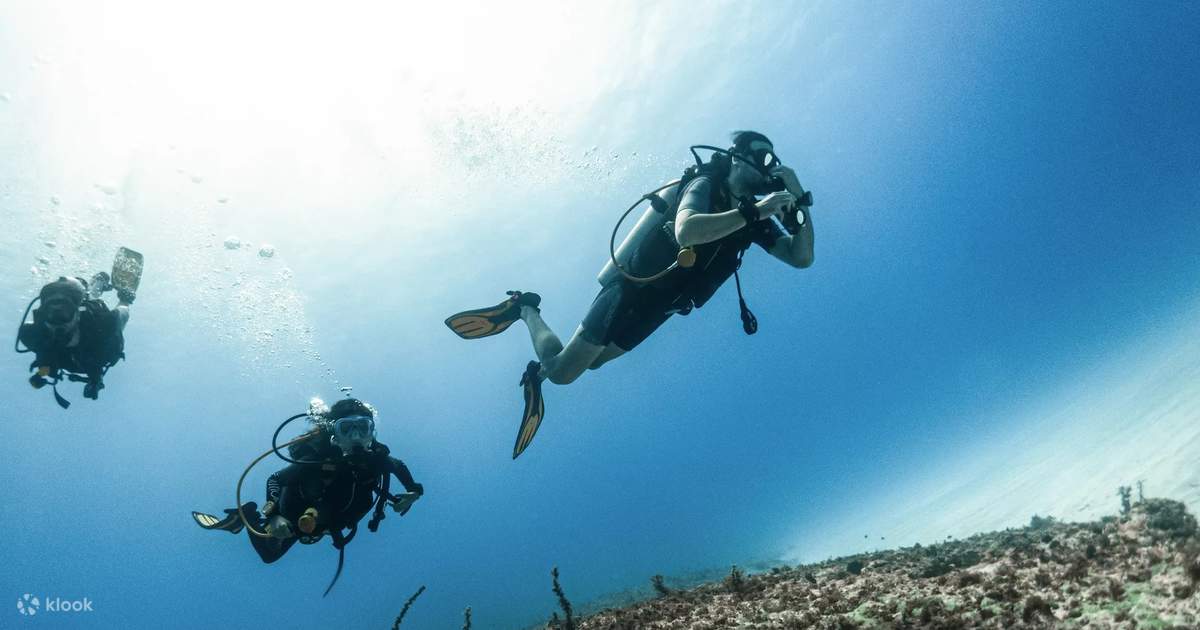 棉蘭老島 Padi Ow 潛水員（私人教練） Padi 度假村 Klook 客路